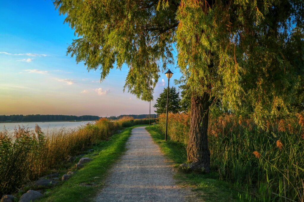 LL-00045 Biodiversity inventory in the Biržai Castle moat area (foss)